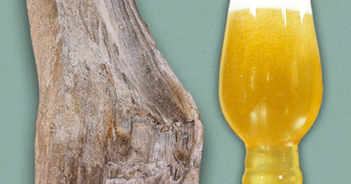 Log Beer - Brewing with Wild Yeast – Clawhammer Supply