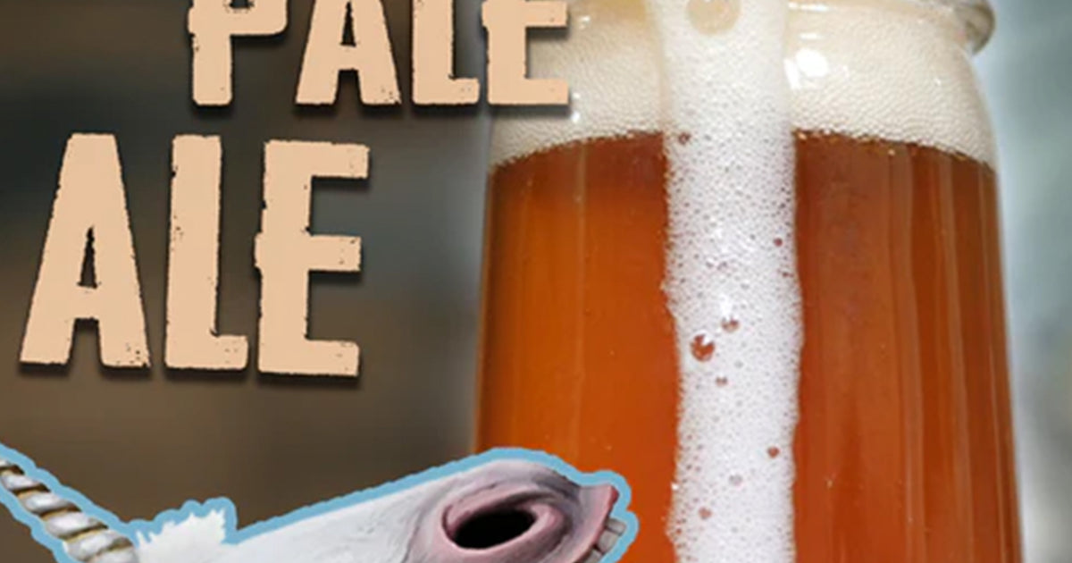 Norwegian Pale Ale Homebrew Recipe