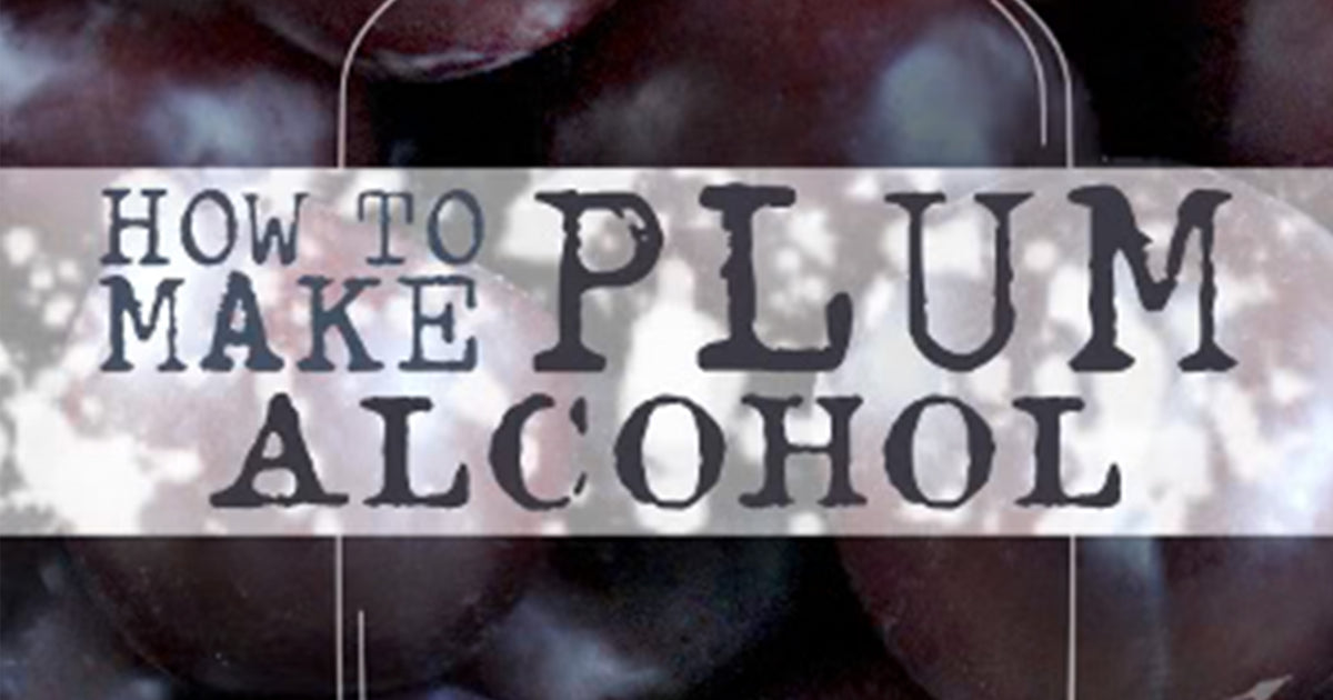Plum Brandy Recipe: Step By Step Guide