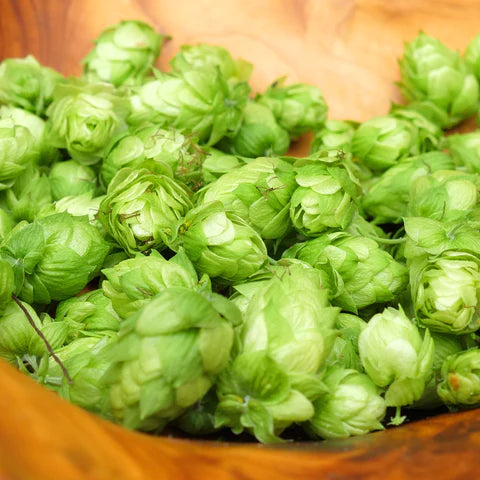 Beer Ingredients: The 4 Ingredients in Beer