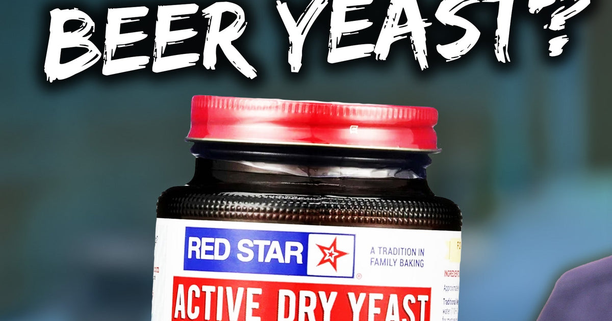 The 5 Best Yeast Strains for Homebrew Beer