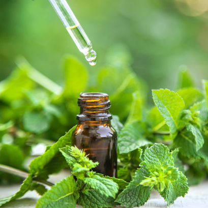 How to Make Peppermint Oil at Home